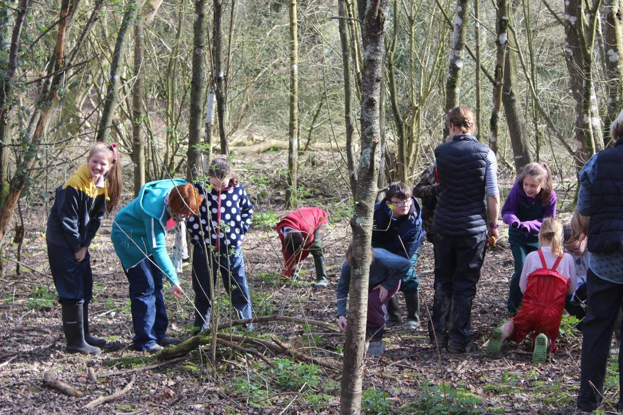 Forest School – Cooking (7) – Blackboys C of E Primary School
