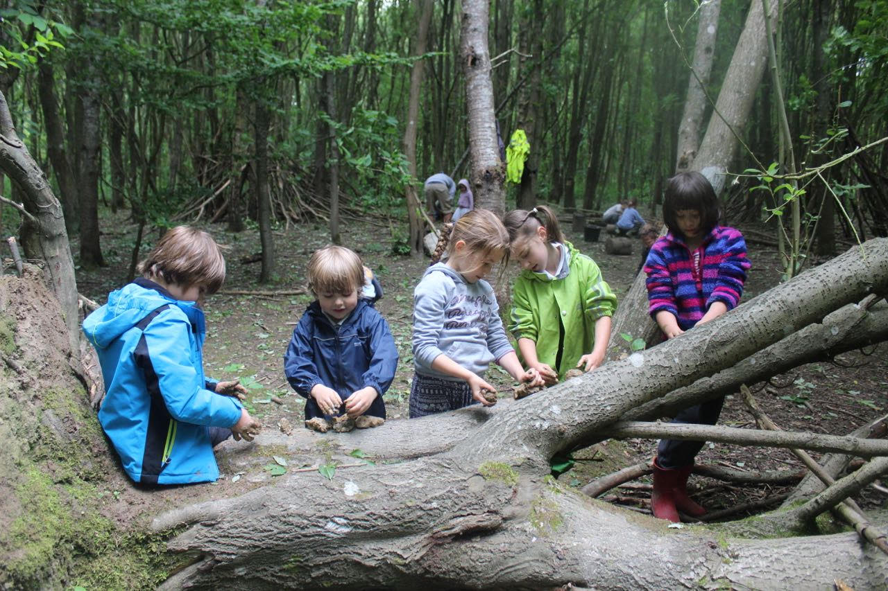 Forest School – Class 2 – Blackboys C of E Primary School
